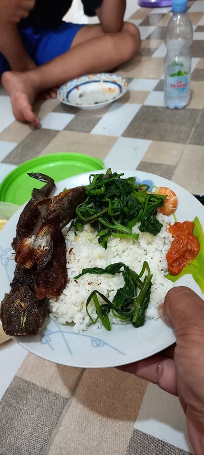 Cat fish tradisional food stock photo. Image of curry - 262426494