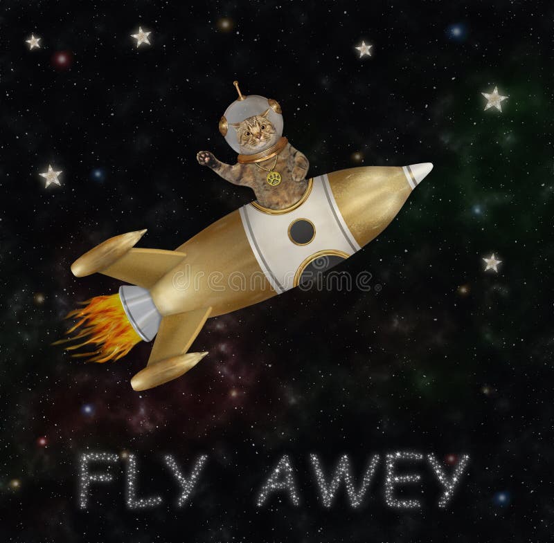 Cat Flies in Rocket in Outer Space Stock Photo - Image of space, text ...