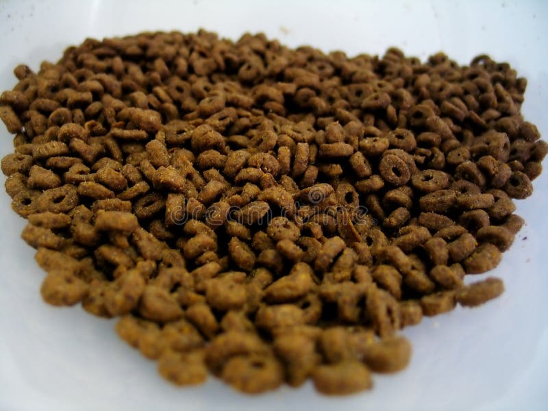 Cat Food stock photo. Image of cats, feed, animals, chew - 4992