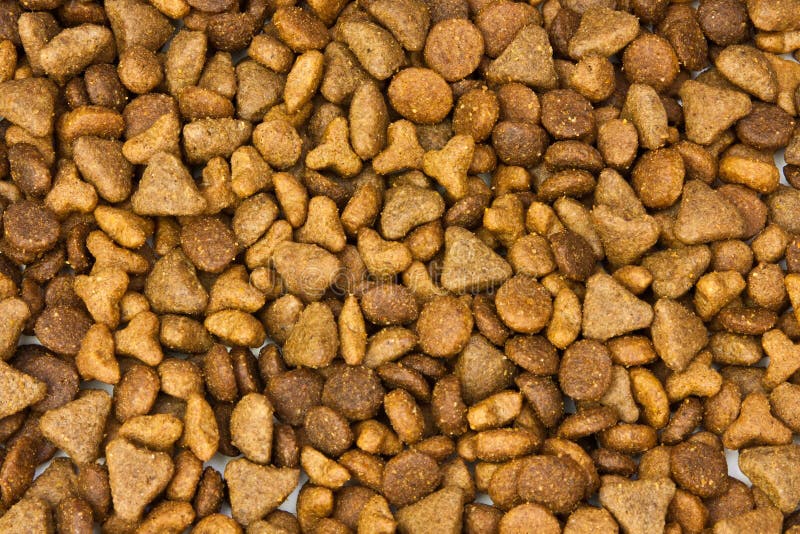 Dry Cat Dog Food in Granules Stock Photo - Image of feed, granules ...