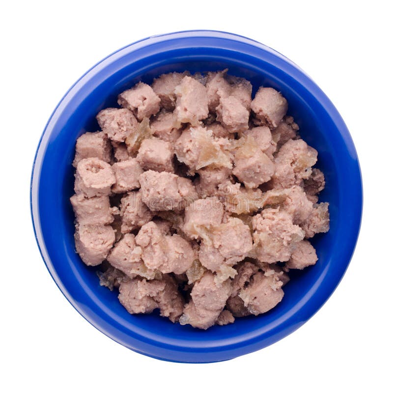 Cat food stock photo. Image of jelly, food, chicken, meat - 86502304