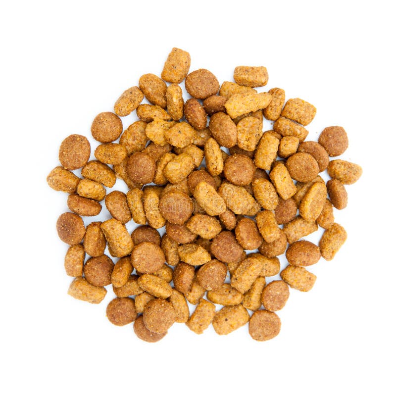 Cat food stock photo. Image of unpacked, natural, food - 59543922