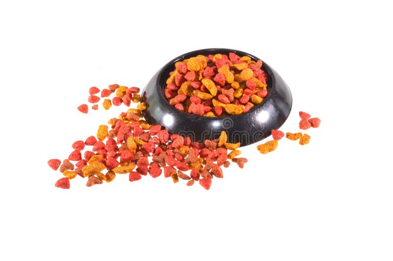 Cat Food Isolated on White Background Stock Photo - Image of dinner ...