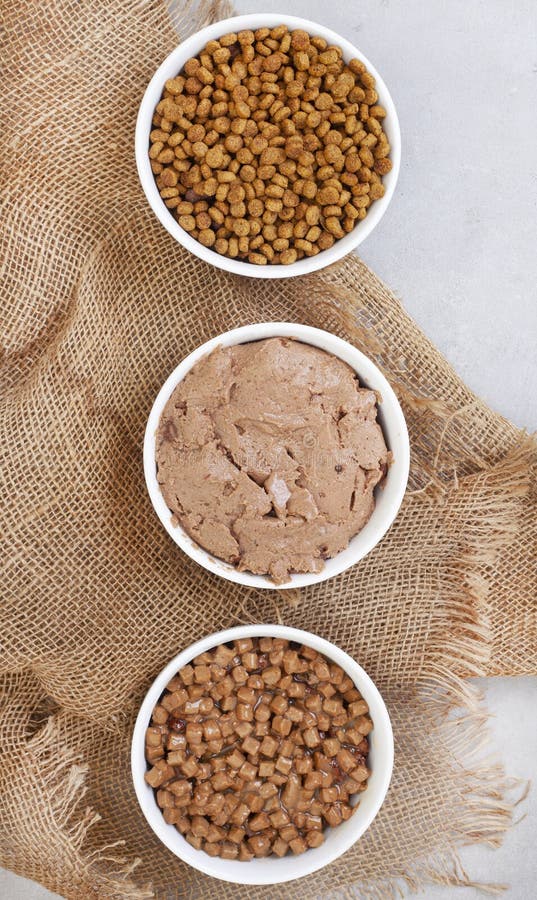 Cat Food Selection, Kitty Delicious Stock Photo - Image of animals ...