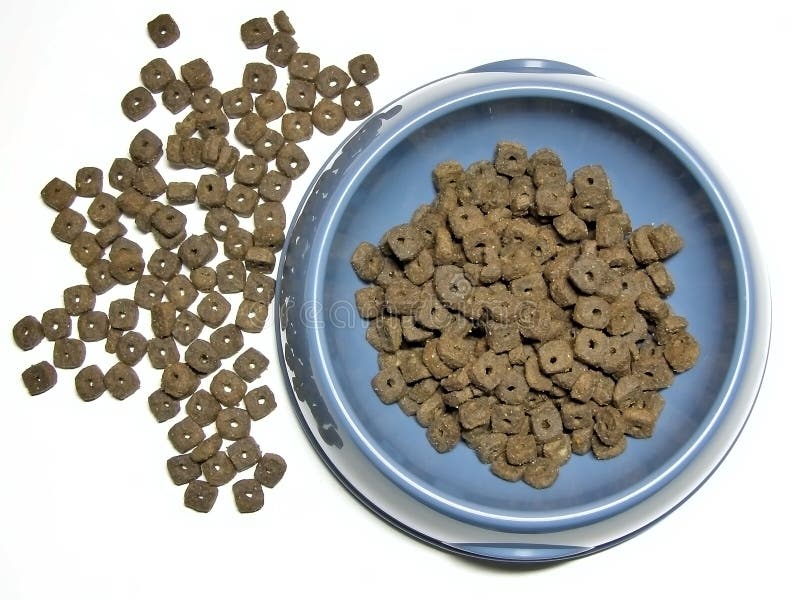 Cat foot stock photo. Image of canine, food, snack, heap - 3600802