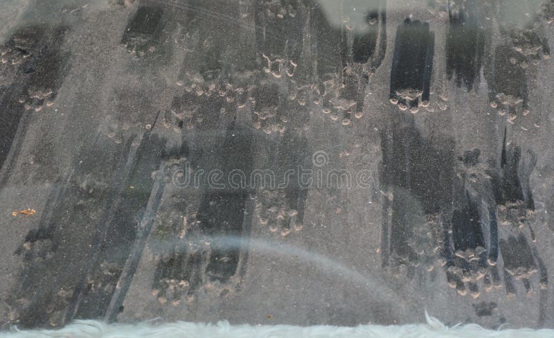 Cat Foot Print Car Windshield Stock Photos - Free & Royalty-Free Stock ...