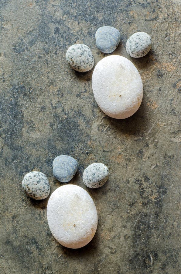 Cat foot steps stock image. Image of natural, foot, form - 31491037