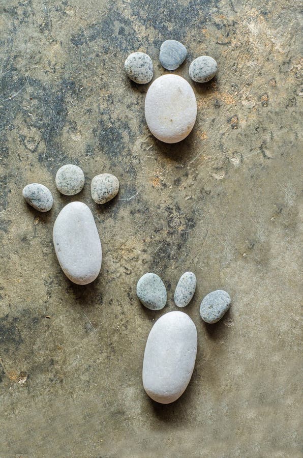 Cat foot steps stock image. Image of mineral, groyne - 31491081