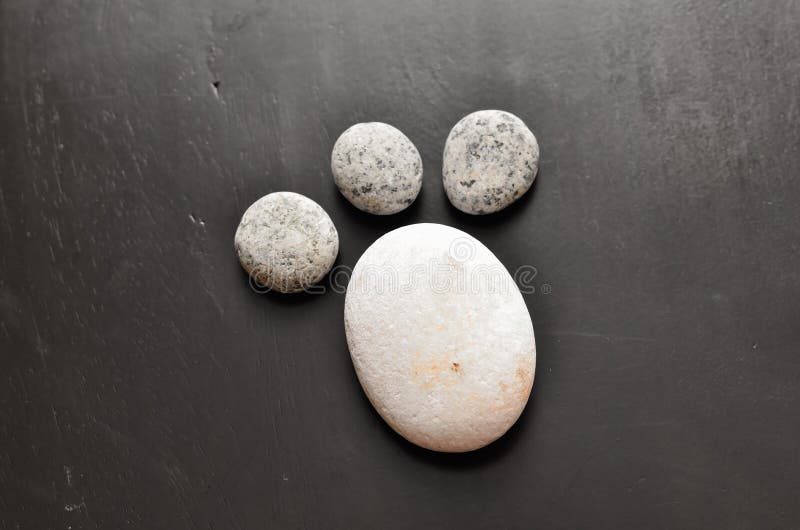 Cat foot steps stock photo. Image of natural, foot, print - 31553646