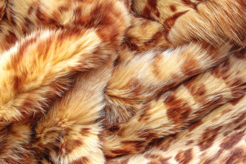 Cat fur stock photo. Image of warm, crumpled, background - 156006246
