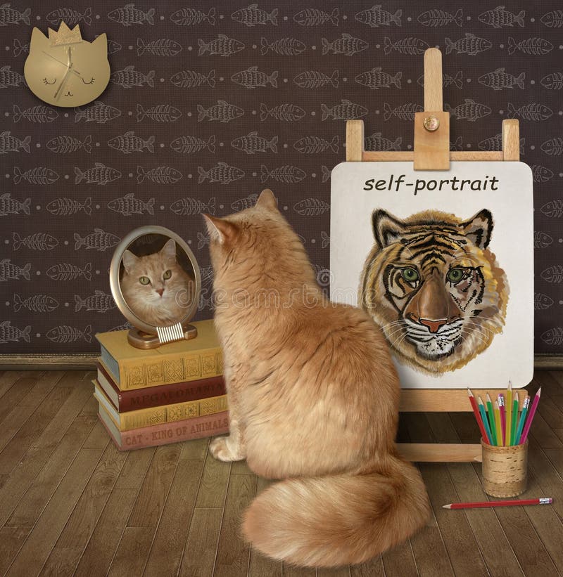 Cat looks in mirror 3 stock image. Image of megalomania - 119783163