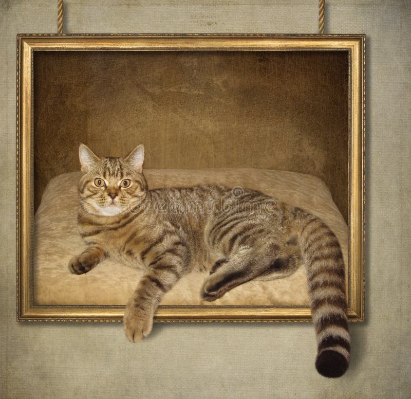 Cat go out of frame stock illustration. Illustration of delusion ...