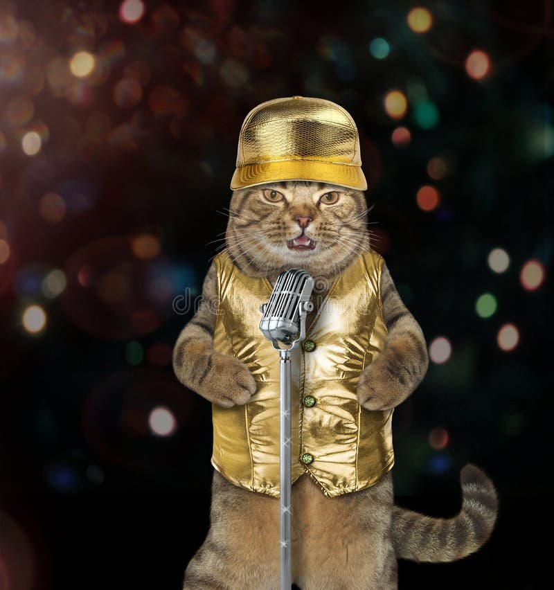 Cat singer 2 stock photo. Image of star, funny, music - 123805188