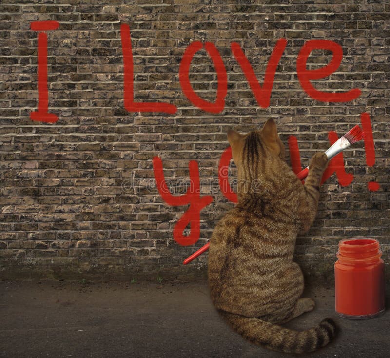 Cat and graffiti stock photo. Image of brush, writing - 123992386