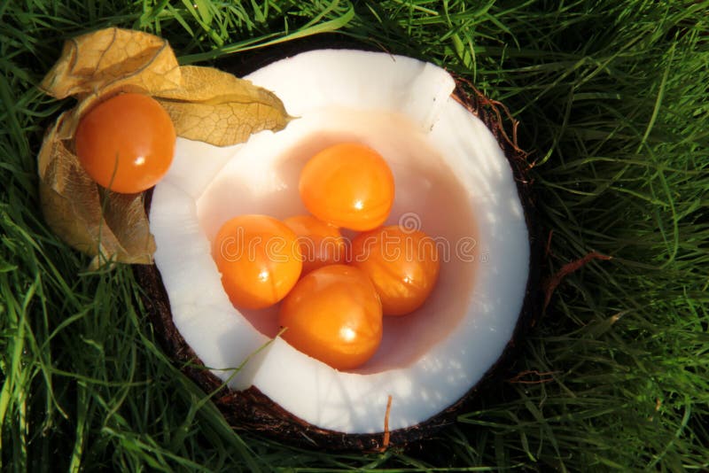 Cat Vomiting Stock Photos - Free & Royalty-Free Stock Photos from ...