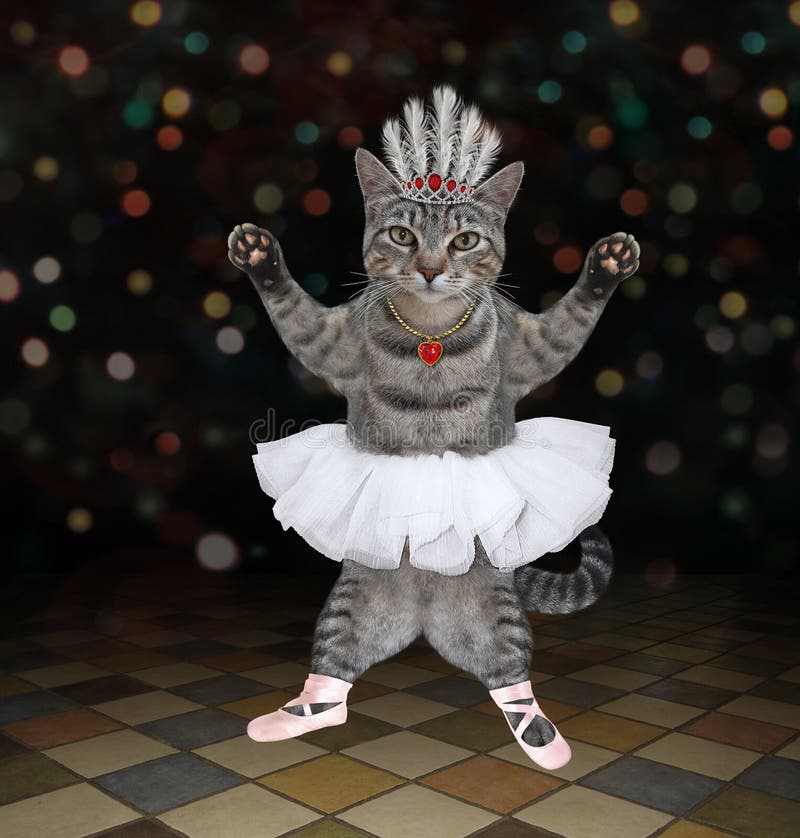 Ballet Dancer Cat Stock Photos - Free & Royalty-Free Stock Photos from ...