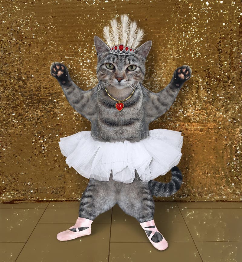 Ballet Dancer Cat Stock Photos - Free & Royalty-Free Stock Photos from ...