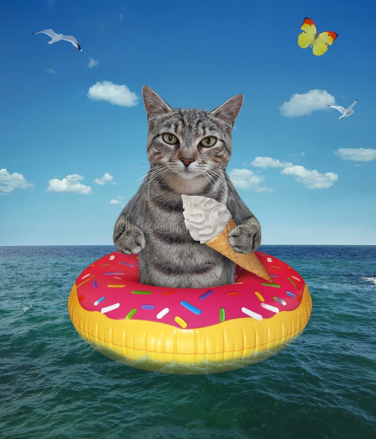 Cat Gray Eats Ice Cream on Inflatable Donut Stock Image - Image of ...
