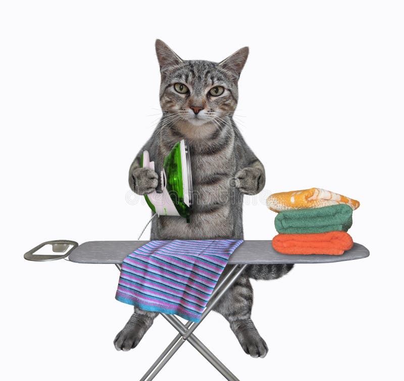 Cat Ironing Board Stock Photos - Free & Royalty-Free Stock Photos from ...