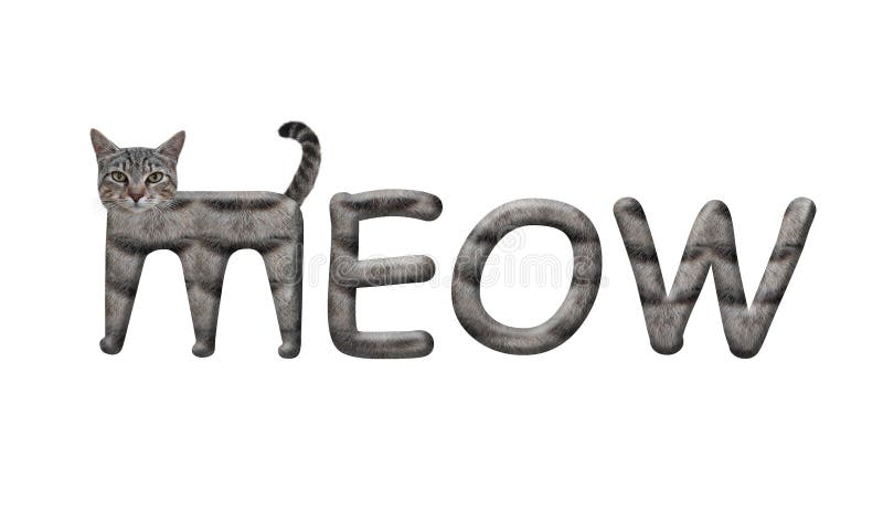 Cat Gray is Letter M in Word Meow Stock Image - Image of creative ...