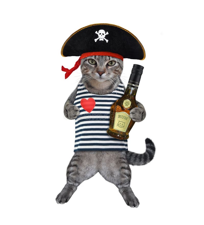 402 Cat Pirate Outfit Stock Photos - Free & Royalty-Free Stock Photos ...