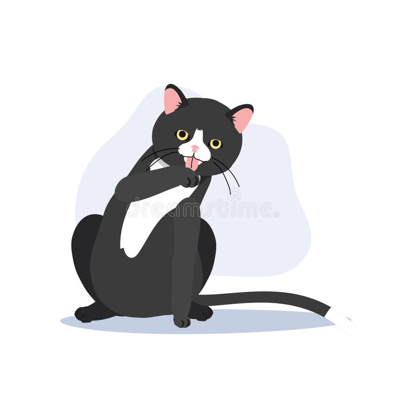 Cat Grooming and Paw Care. Fluffy Cat Spa Stock Vector - Illustration ...