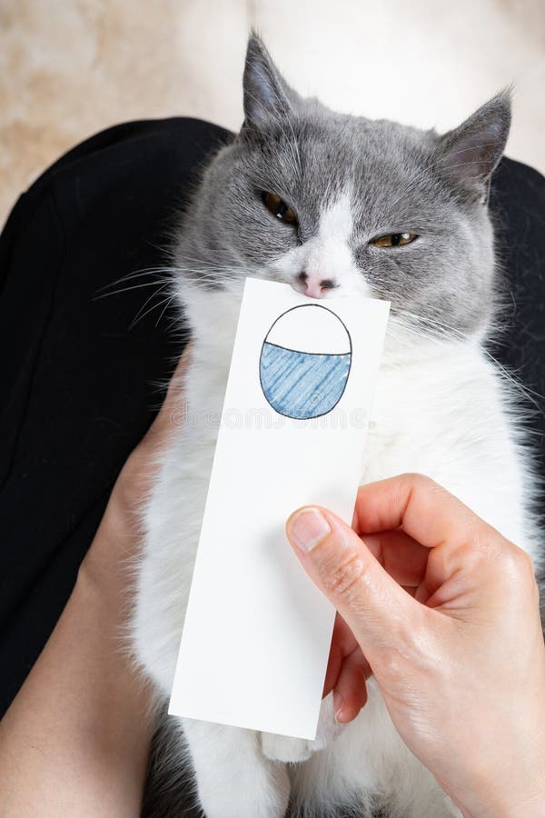 A Cat with Hand Drawn Sketch of an O Shape Mouth Stock Image - Image of ...
