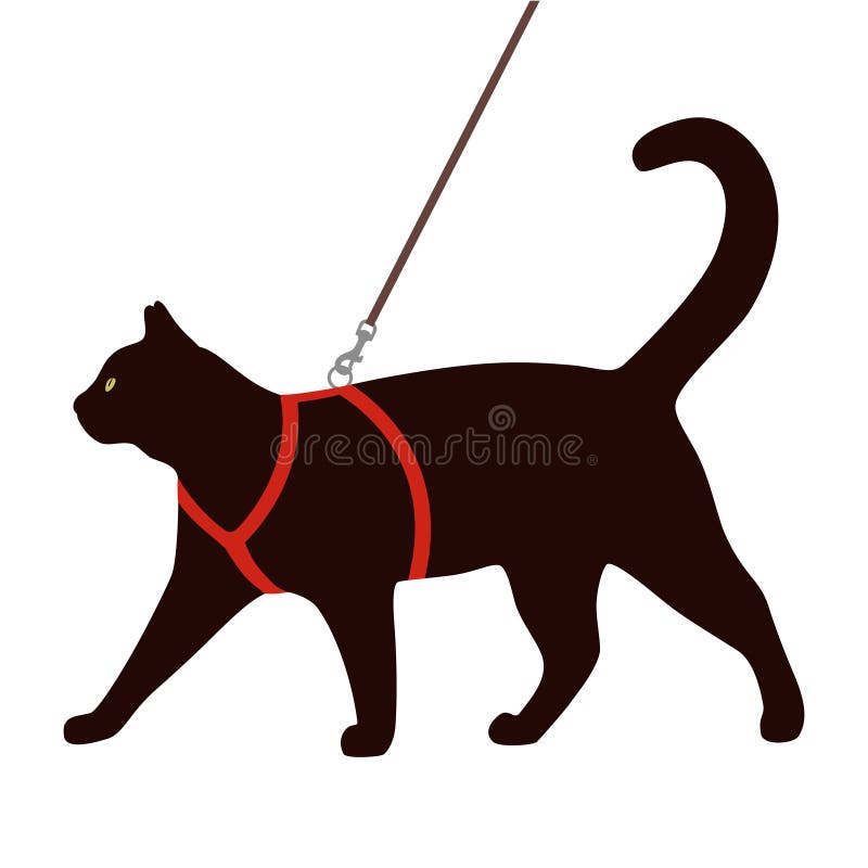 Cat Harness. Black Cat Walking on a Leash Stock Vector - Illustration ...