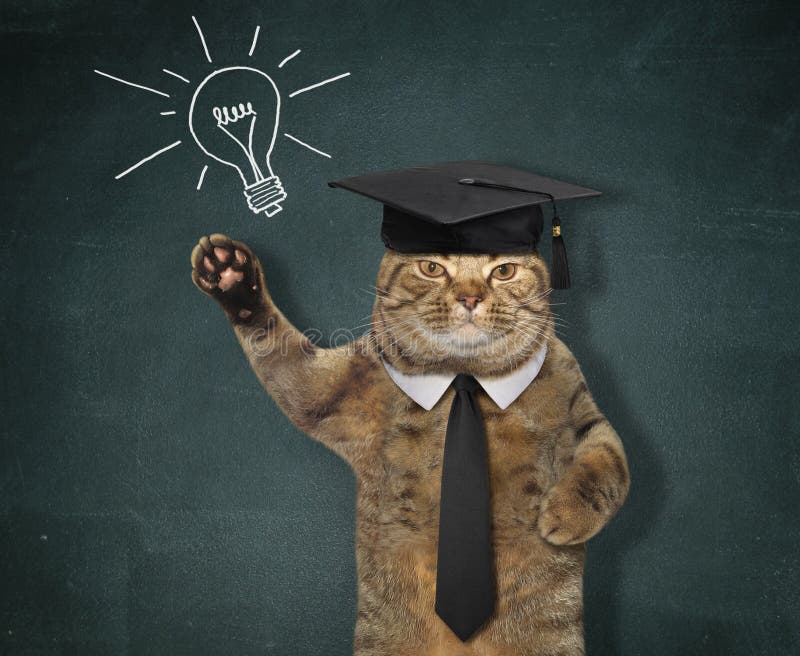 179 Cat Graduation Hat Stock Photos - Free & Royalty-Free Stock Photos ...