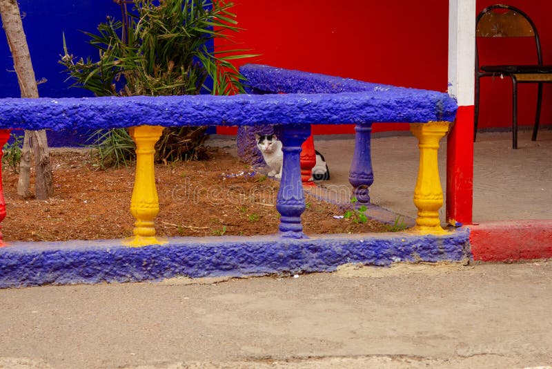 Cat Hiding Behind Bars Stock Photos - Free & Royalty-Free Stock Photos ...