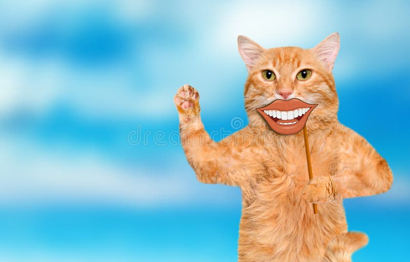 Cat Holding Card with Funny Smiley . Stock Photo - Image of kitty ...