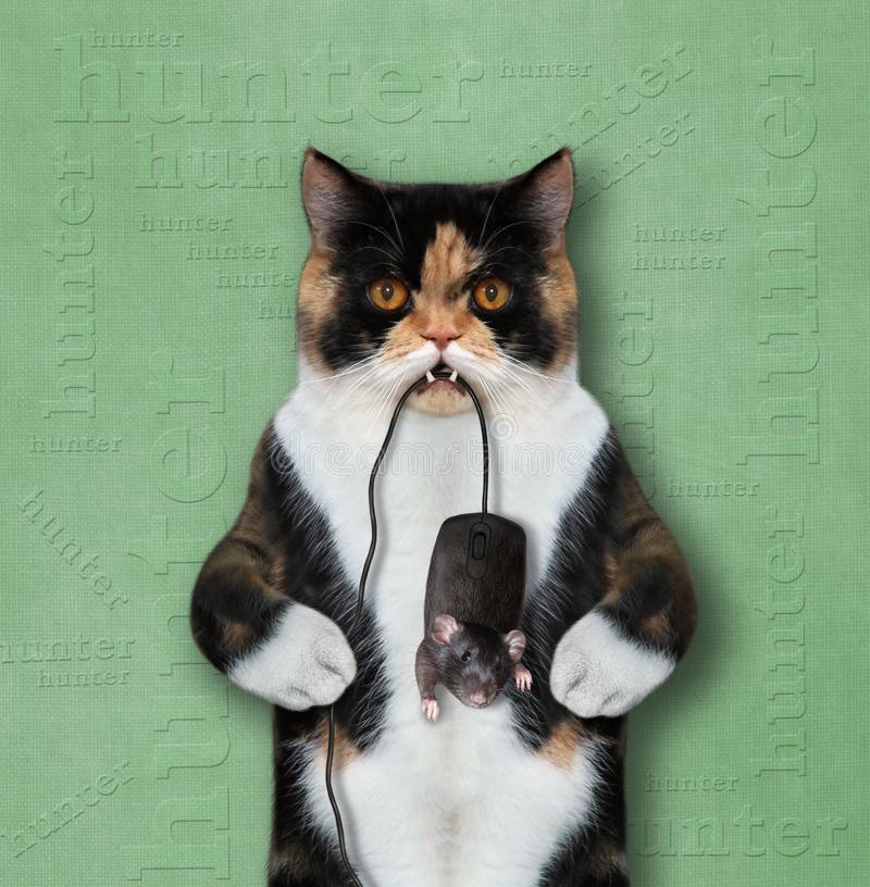 171 Cat Holding Mouse Tail Stock Photos - Free & Royalty-Free Stock ...