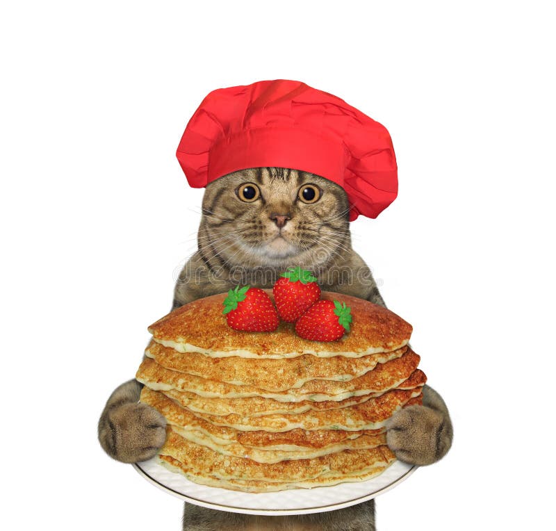 284 Stack Pancakes Funny Stock Photos - Free & Royalty-Free Stock ...
