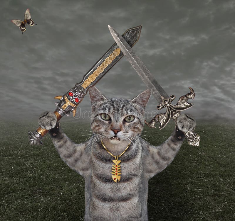 242 Crossed Swords Stock Photos - Free & Royalty-Free Stock Photos from ...