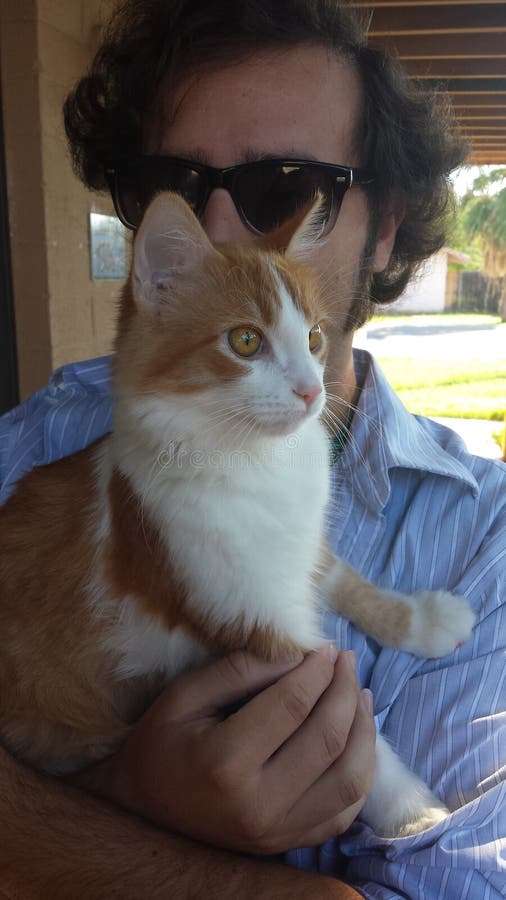 Cat human stock photo. Image of meow, white, gold, blue - 46056986