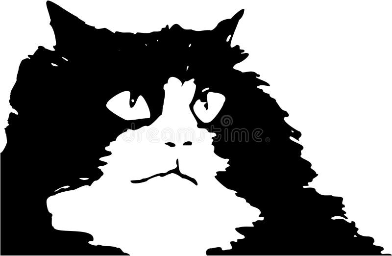 Cat III Picture. Image: 1312618