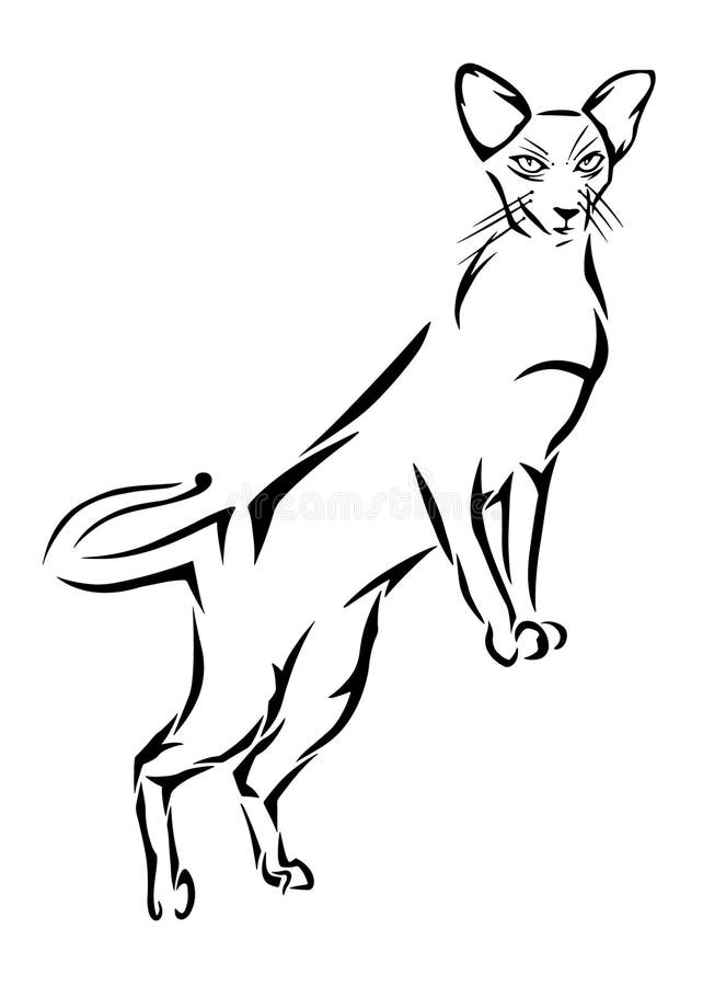 Siamese Cat Outline Drawing ~ Stock Vector - Illustration of vector ...