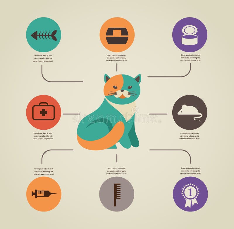 Cat Infographics with Vector Icons Set Stock Vector - Illustration of ...
