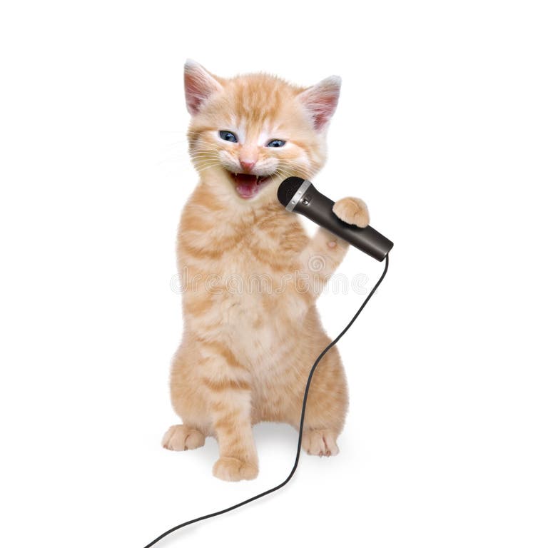 457 Kitten Waving Stock Photos - Free & Royalty-Free Stock Photos from ...