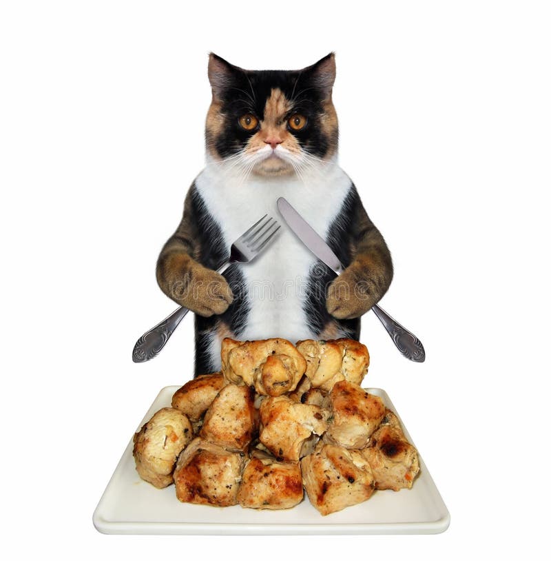 Cat with Grilled Meat Near Bbq Grill Stock Photo - Image of oven, party ...