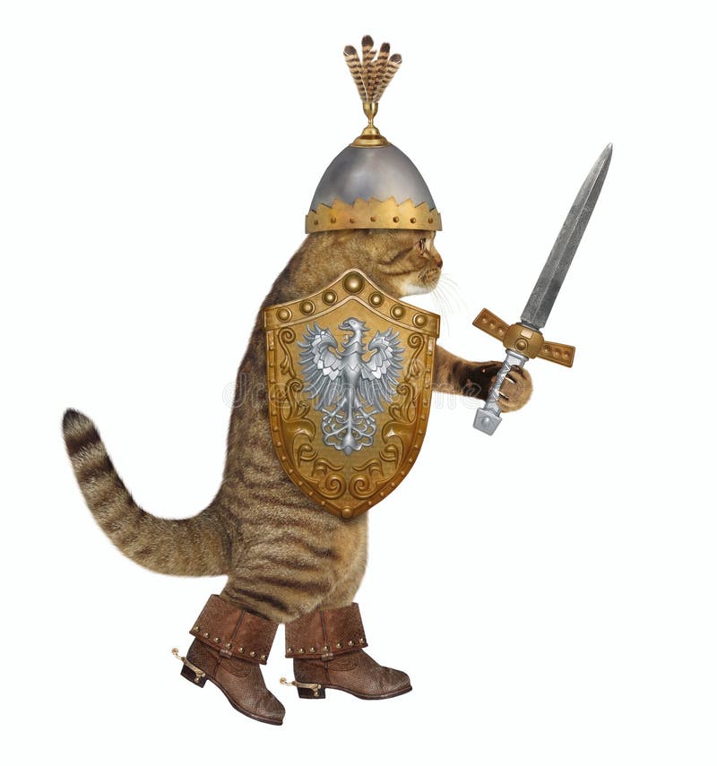 Cat in knight armor stock image. Image of fighter, warrior - 133604125