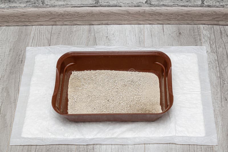 A Cat Litter Box with Dry Litter is on the Floor in the Room Stock ...