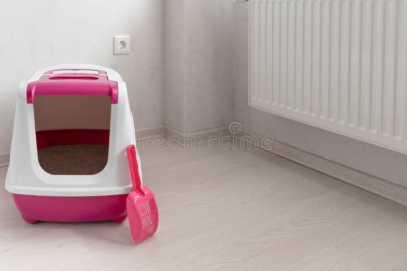 166 Pink Litter Box Stock Photos - Free & Royalty-Free Stock Photos ...