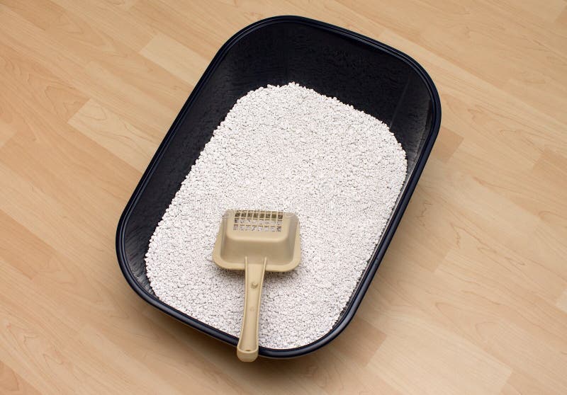 Cat litter stock image. Image of bedding, animal, litter - 37357663