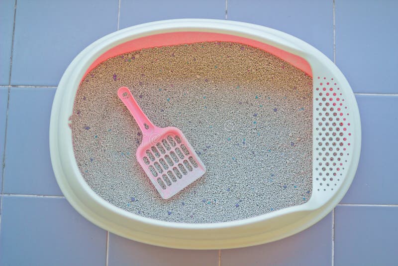 Cat Litter or cat sand. stock photo. Image of white - 103235952