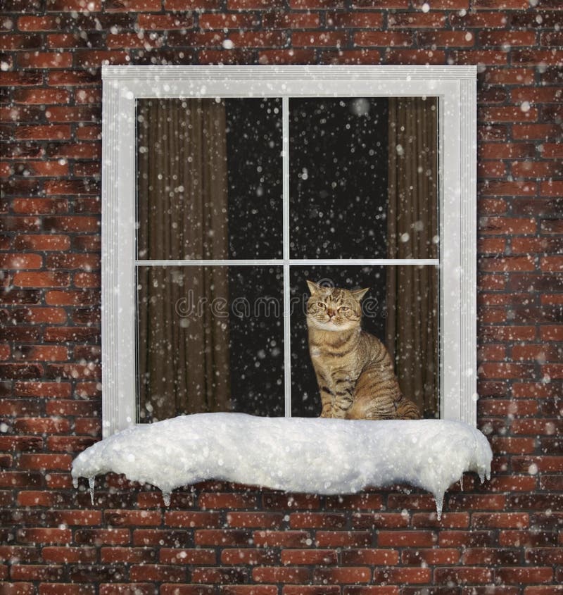 Looking Through A Window At Snow