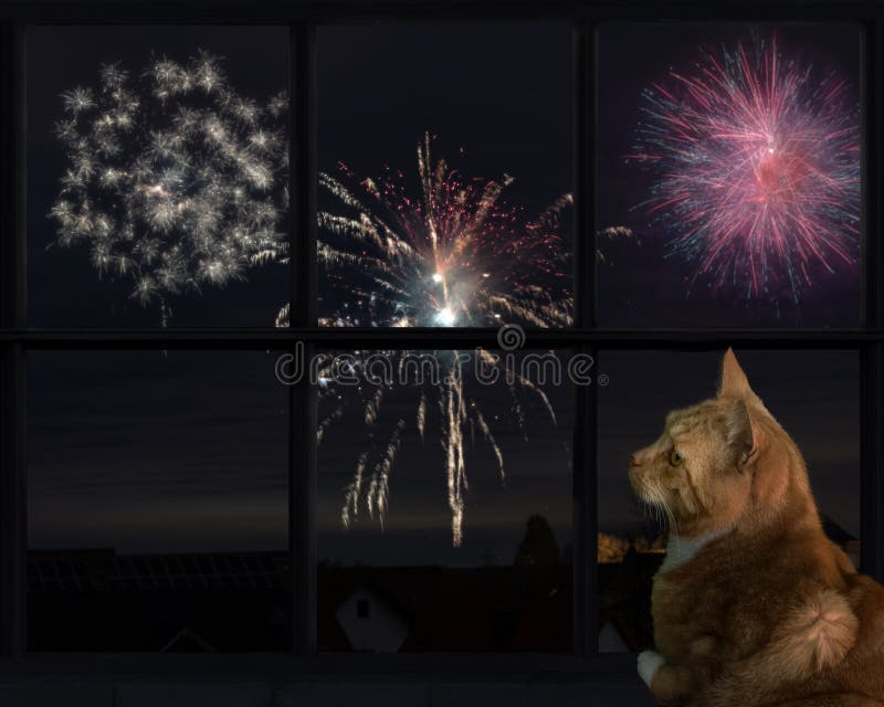 Watching Fireworks Home Stock Photos - Free & Royalty-Free Stock Photos ...