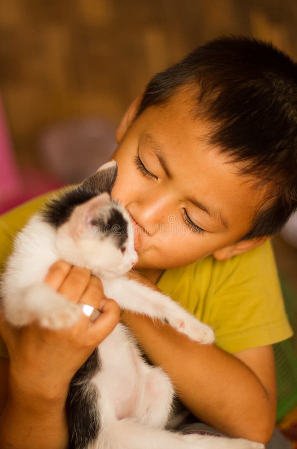 Boy and his cat stock image. Image of sunshine, quicksand - 6044603