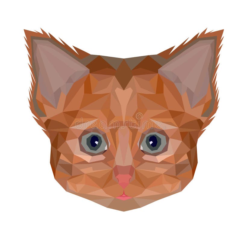 Cat low poly stock vector. Illustration of animal, color - 68889602