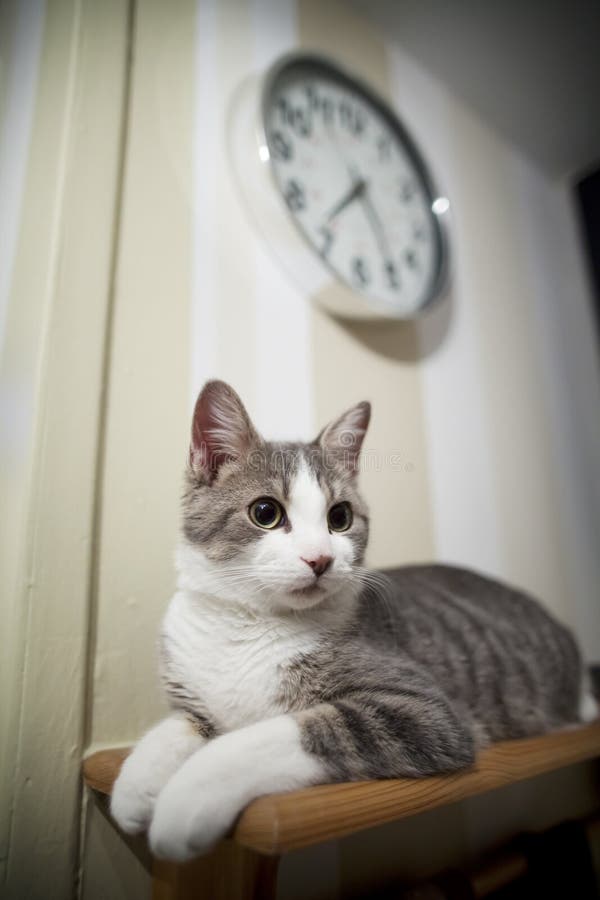 Lunch Time Picture. Image: 185655